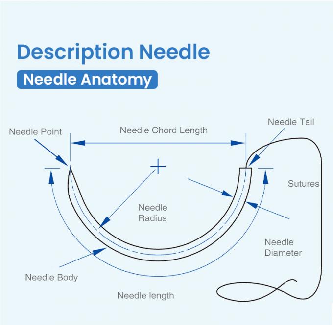 medical sterile absorbable barbed surgical suture with needle